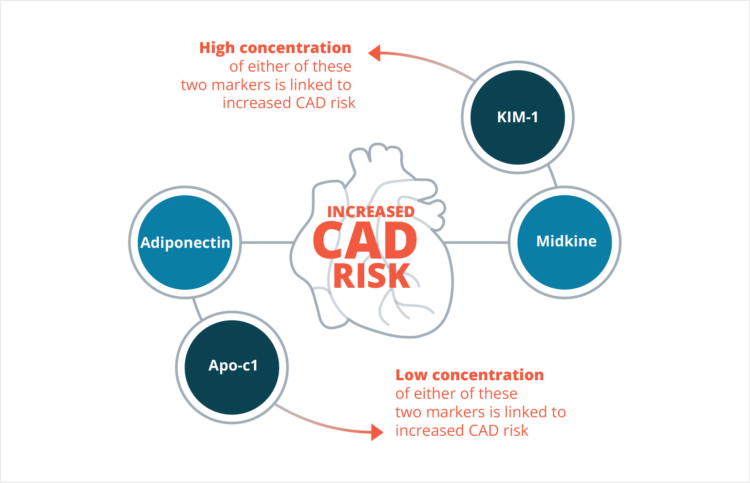 Novel Noninvasive Scoring System Predicts Presence of Obstructive CAD ...