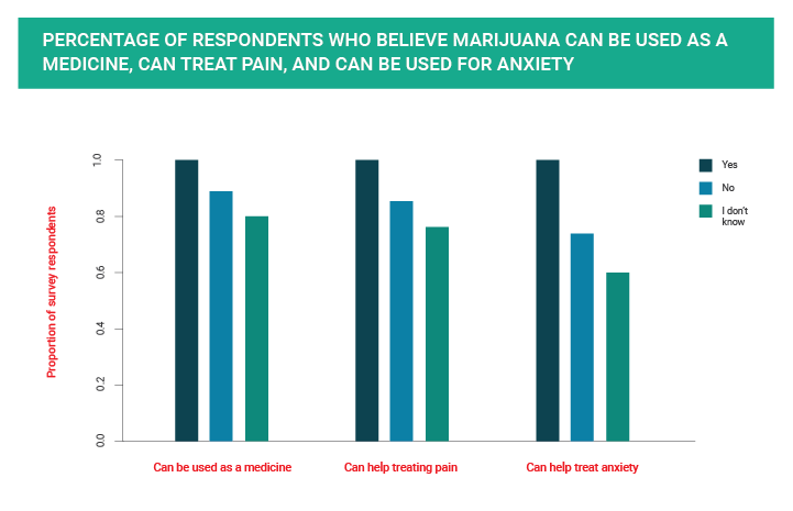 Most Patients Believe Marijuana Is Effective for Pain Relief After ...