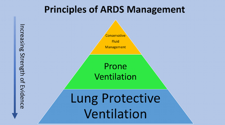 Fluid Management in ARDS - Mass General Advances in Motion