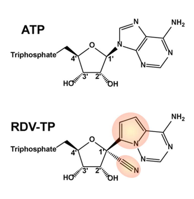 Update on Remdesivir - Mass General Advances in Motion